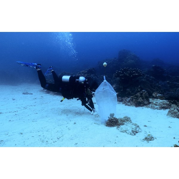 Delta Electronics Foundation-Delta Cooperates with Museum of Marine ...